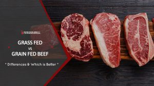 Grass Fed vs Grain Fed Beef - All Differences & Which is Better?